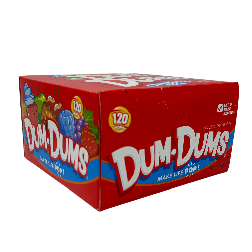 Dum Dums Pops 120Ct - 20.5oz | Candy Funhouse US