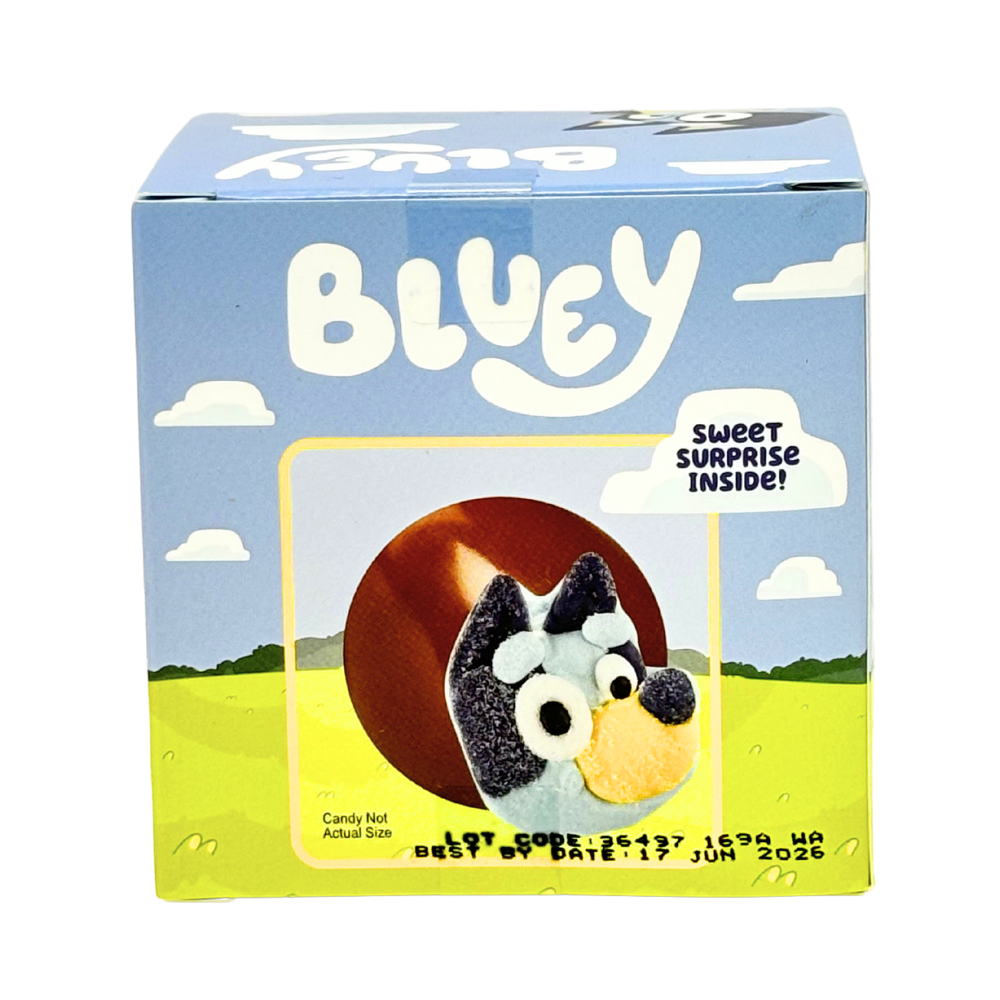 Bluey Chocolate Ball with Marshmallow - 60g | Candy Funhouse – Candy ...
